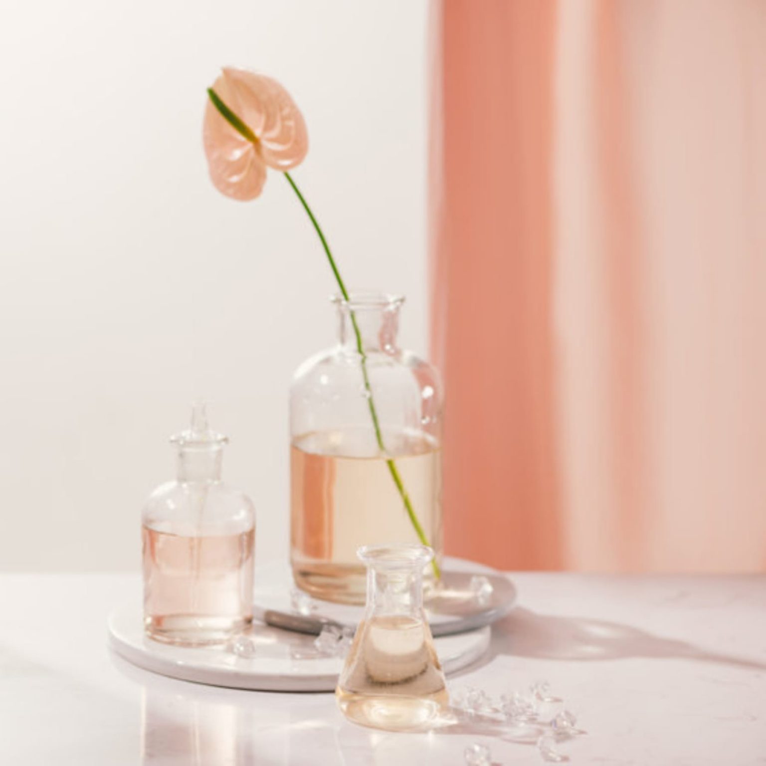 9 Oils for Perfect Curly Hair - Curly Life